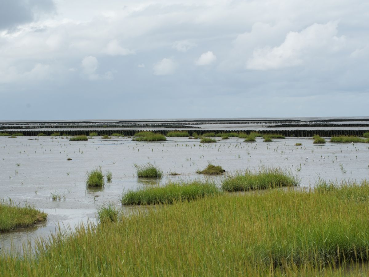 Ferienhaus "Nordlicht", Wesselburenerkoog, Frau Angela Thode