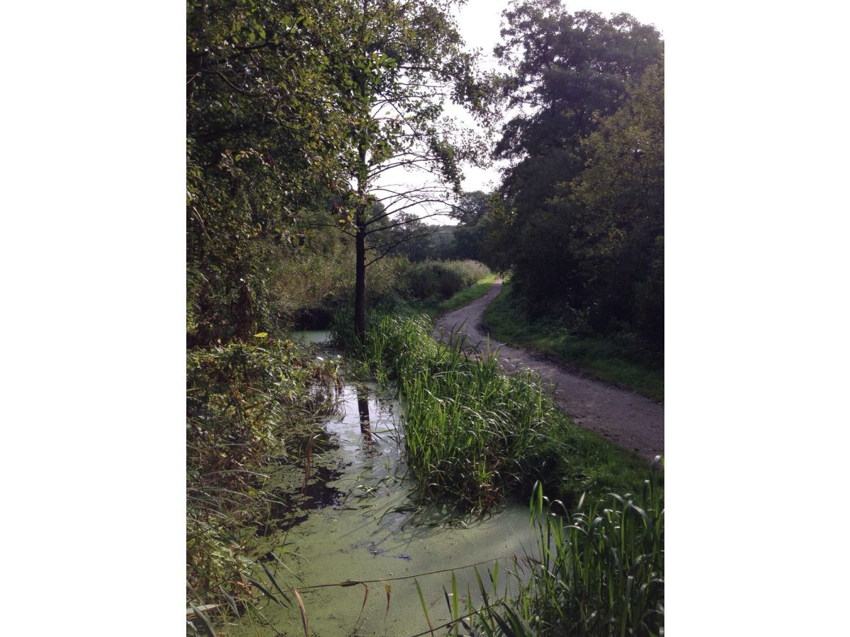 Ferienhaus Ostseehaus Linde, Niendorf (Ostsee), Familie Linde