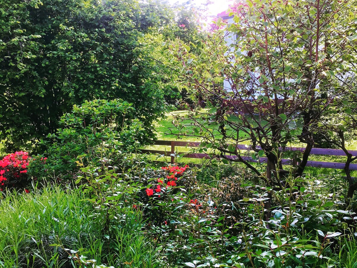 Ferienwohnung am Bach, Hamminkeln, Frau Ingrid Jakobi