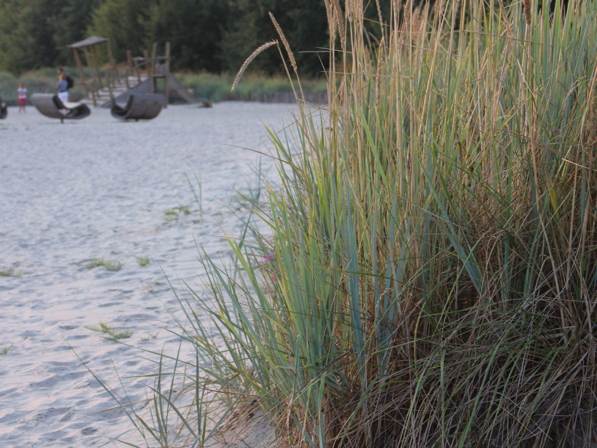 Ferienwohnung Rosmarin-am-Sund, Altefähr, Karl Kopper