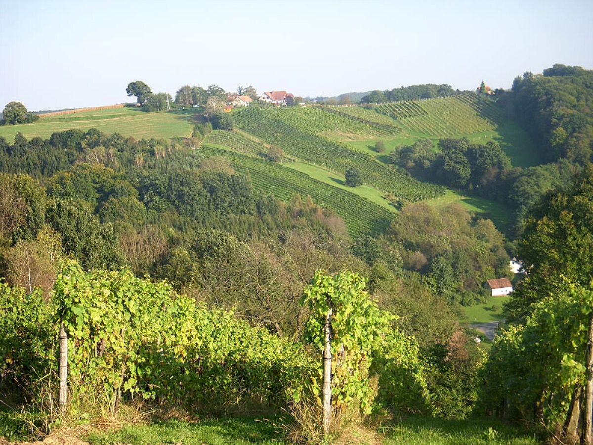 Ferienhaus im Weingarten "Das Weinberg", Steirisches Thermen- u ...