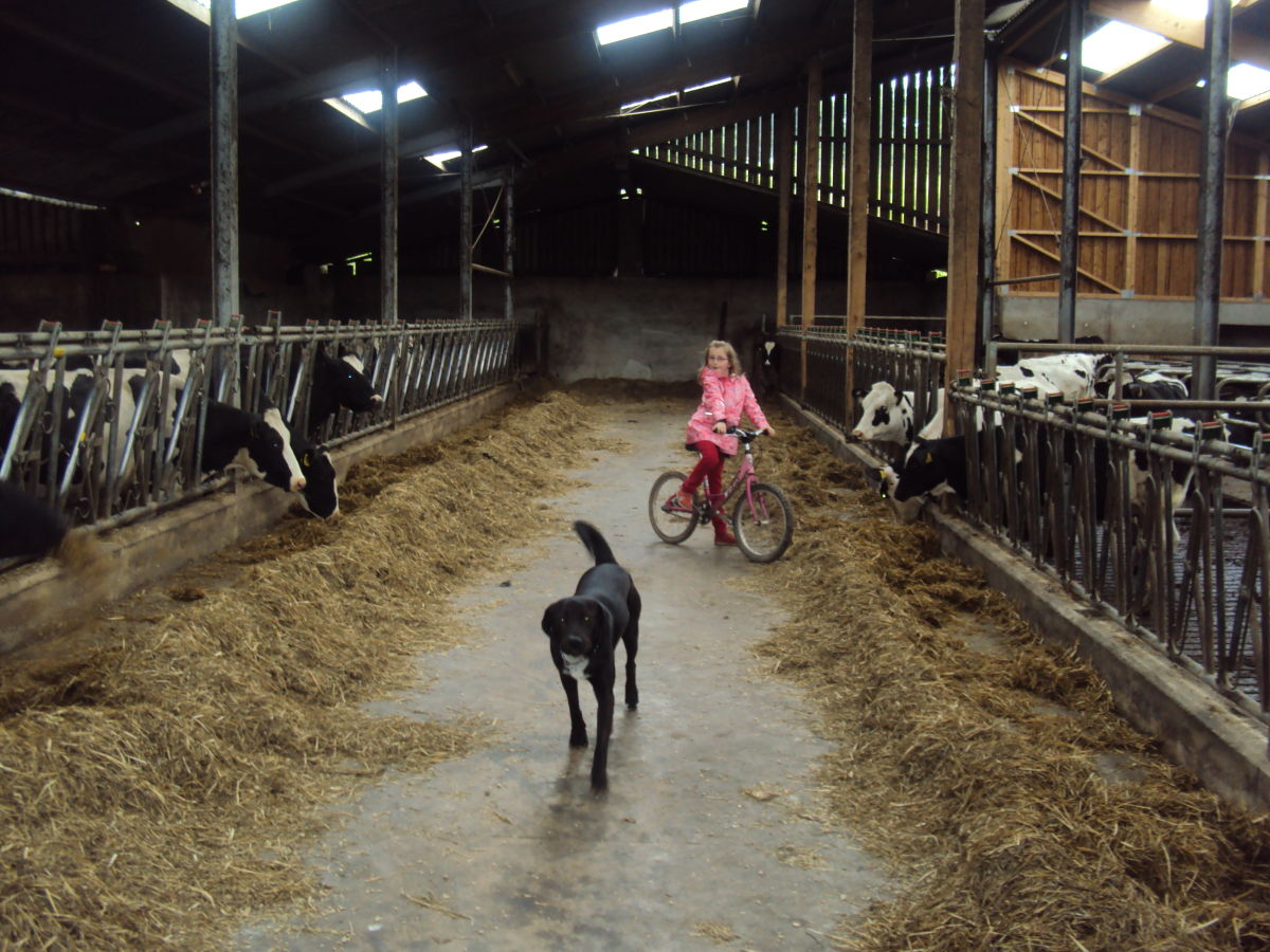 Ferienhaus Wohnung Laura, Mettlach, Herr Michael Fixemer